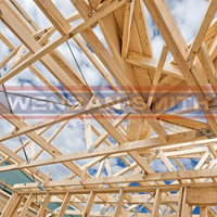 Timber :: Carcassing