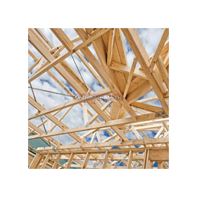 Timber :: Carcassing